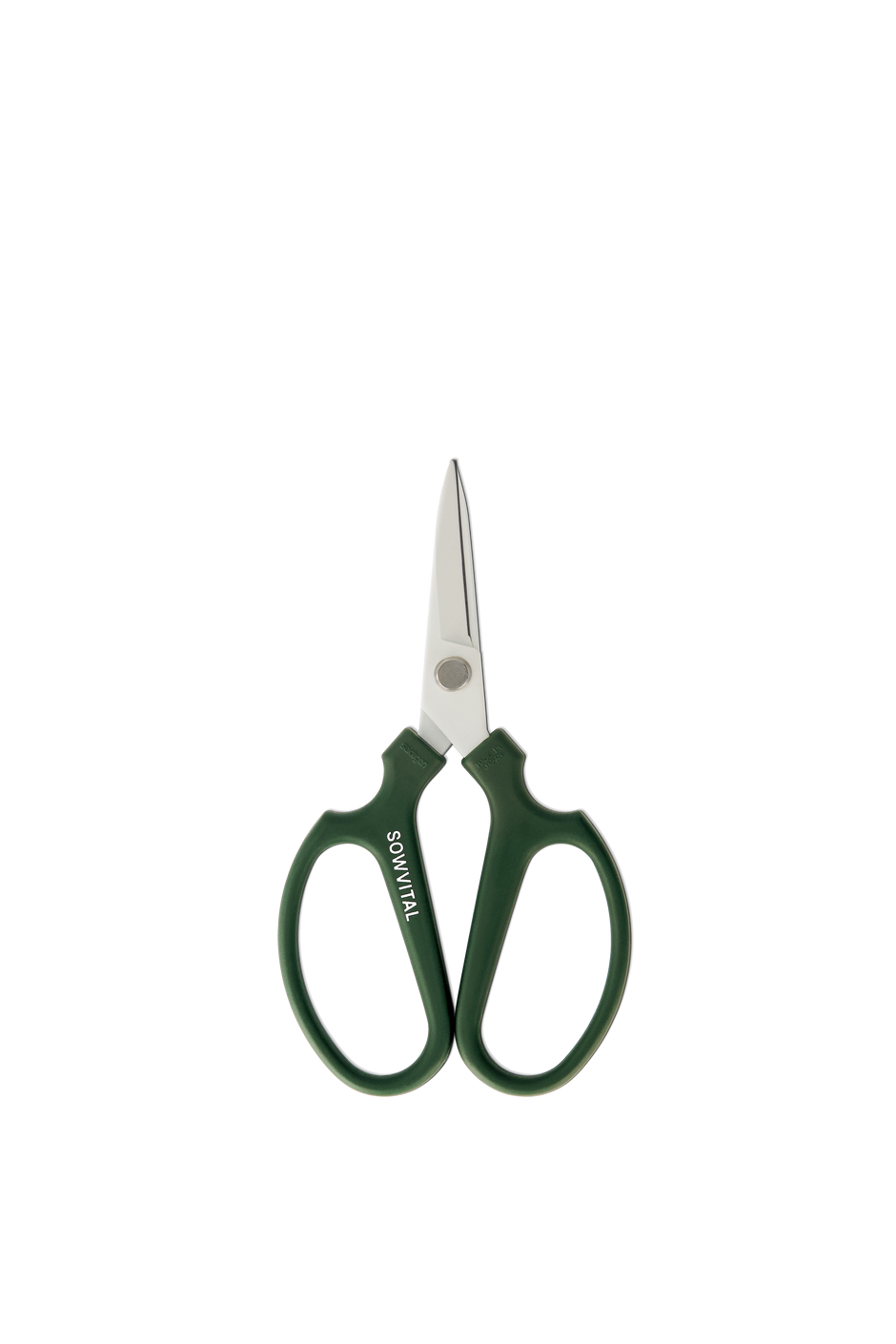 Tulip fever – Pentreath & Hall