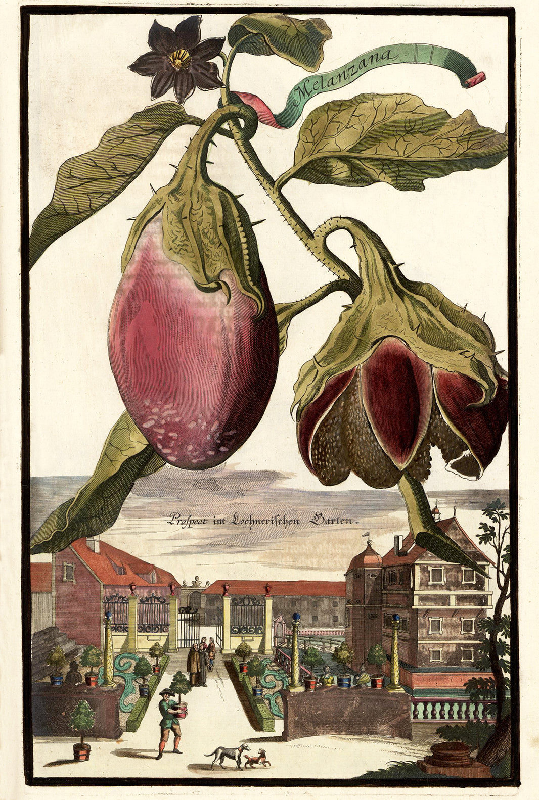 The Summer of 2020: Part 1 – Pentreath & Hall