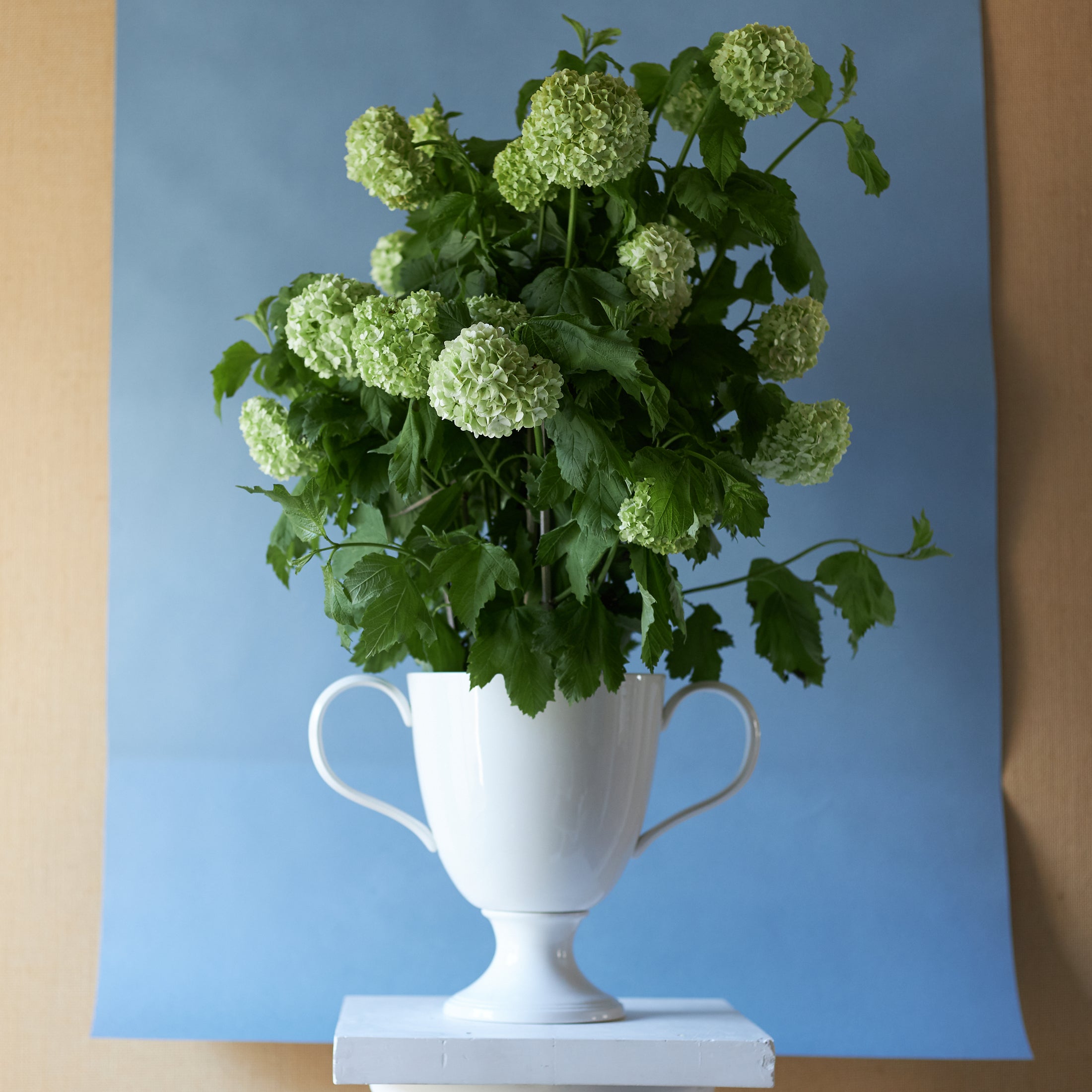 P&H Creamware Lidded Urn with Handles – Pentreath & Hall