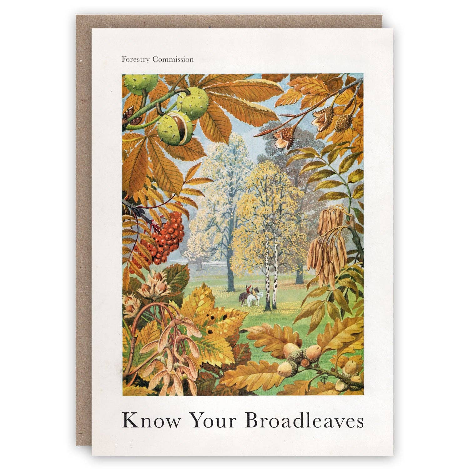 Know Your Broadleaves - Greeting Card – Pentreath & Hall
