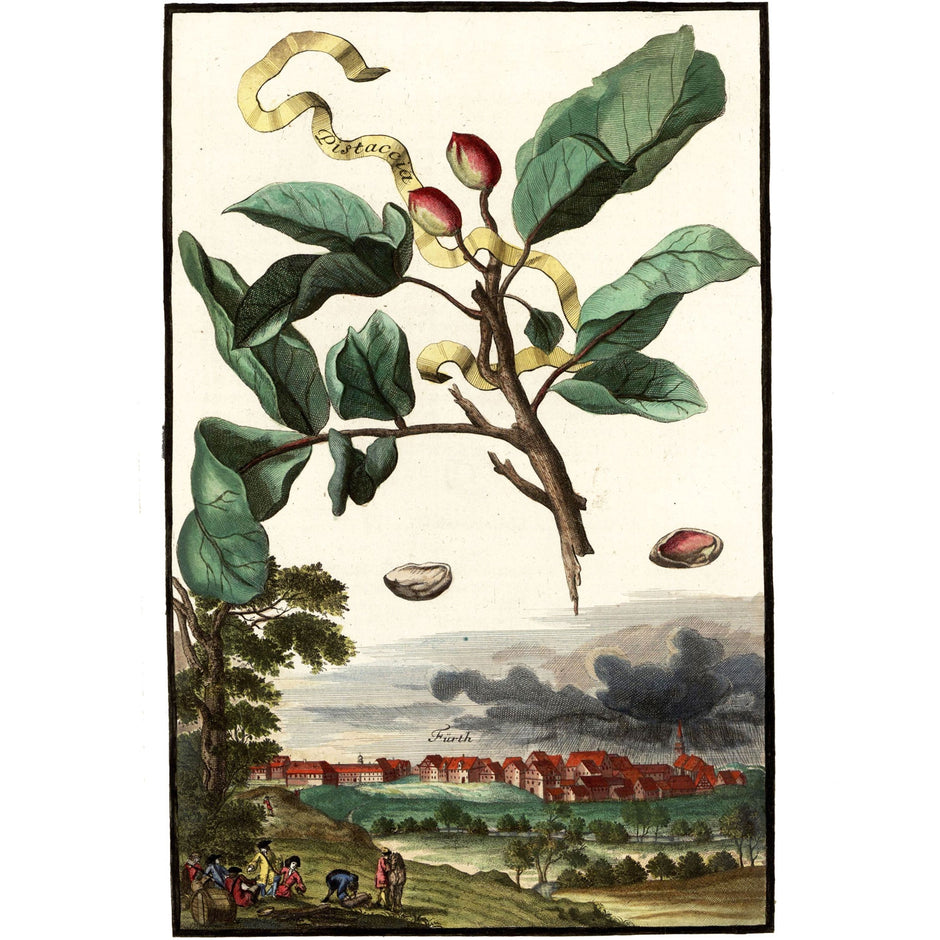 Prints – Pentreath & Hall