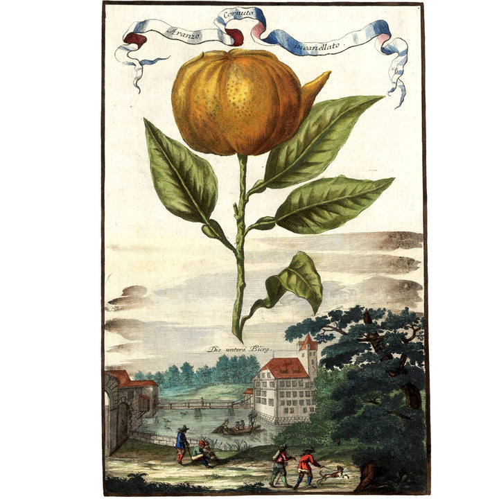 Prints – Pentreath & Hall