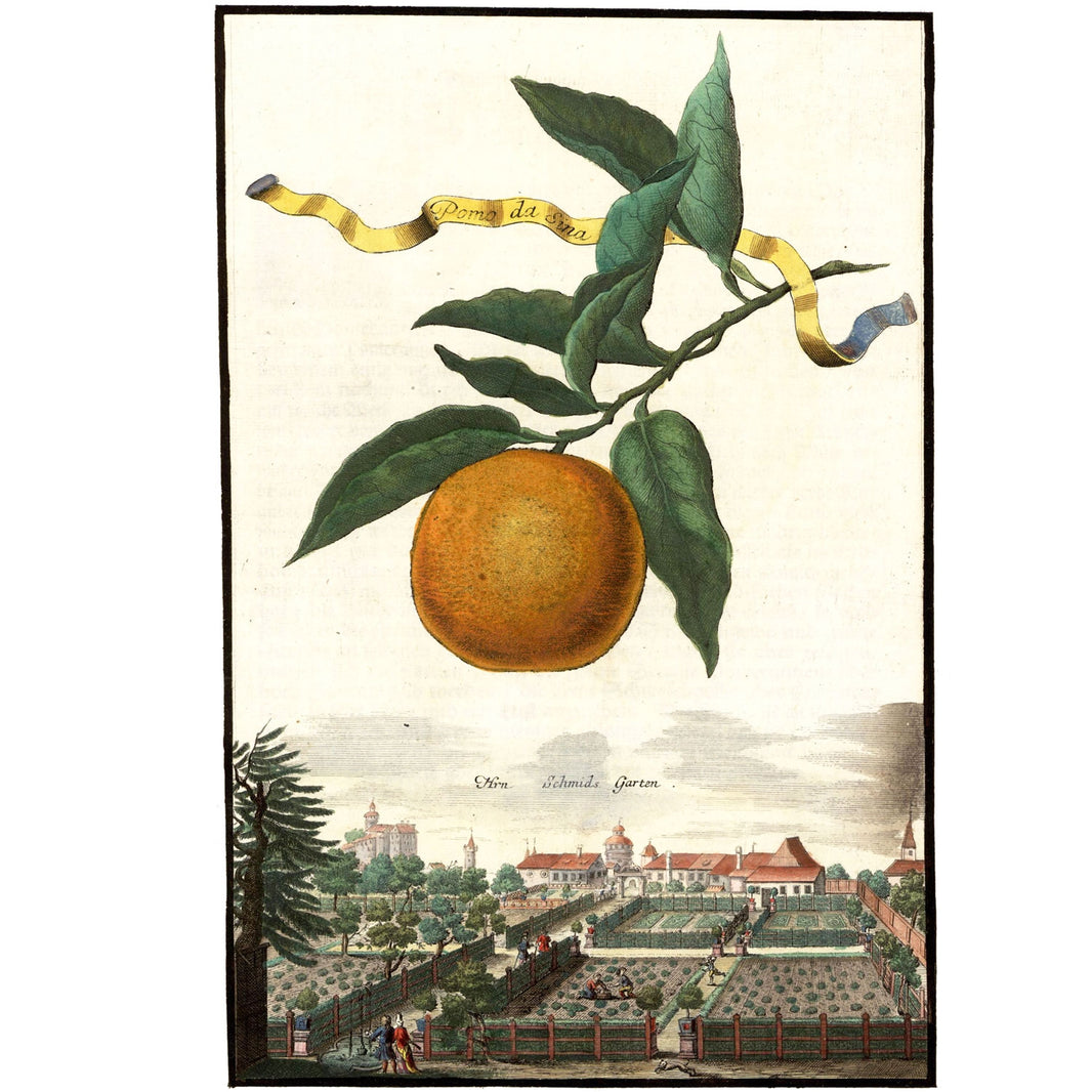 Prints – Pentreath & Hall