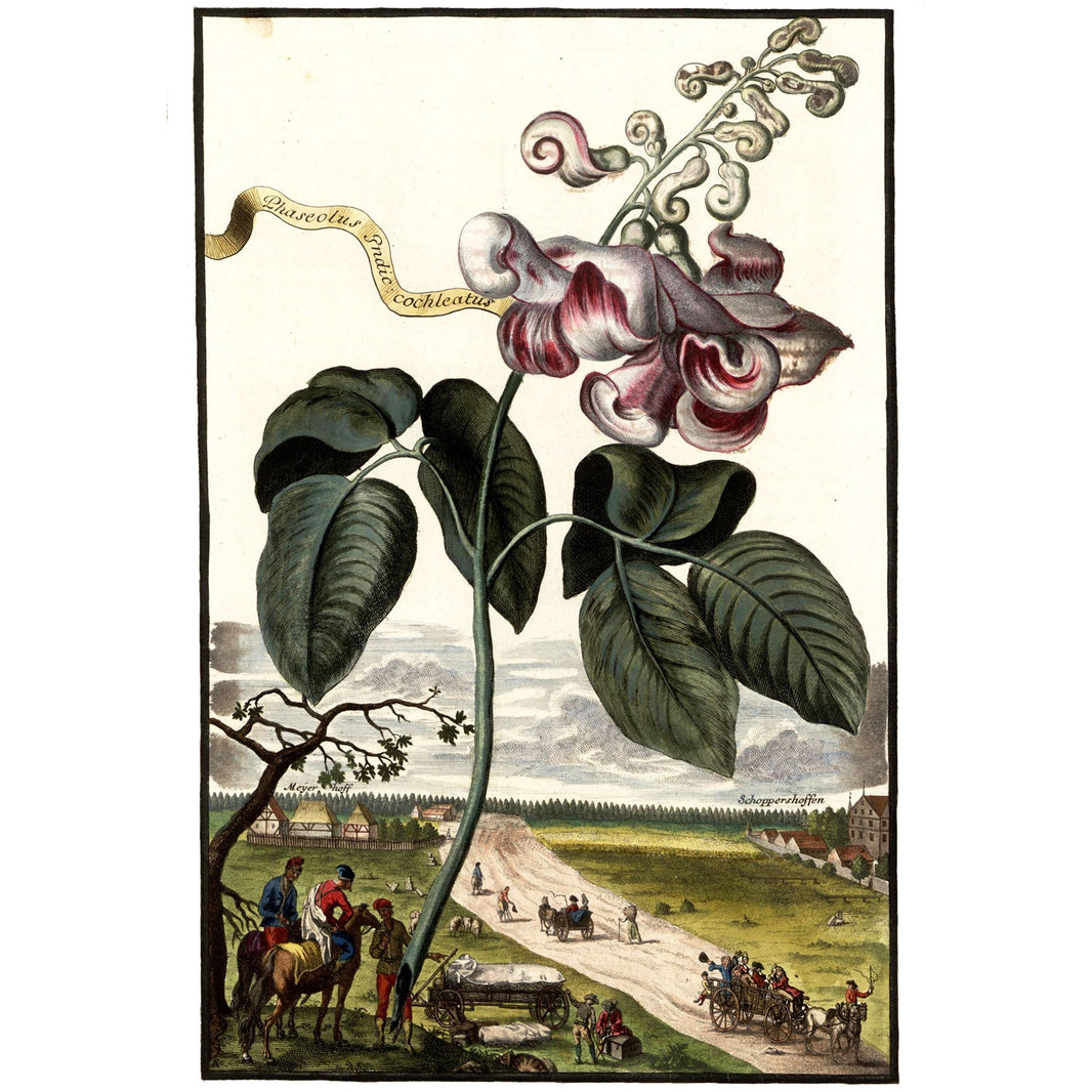 Prints – Pentreath & Hall