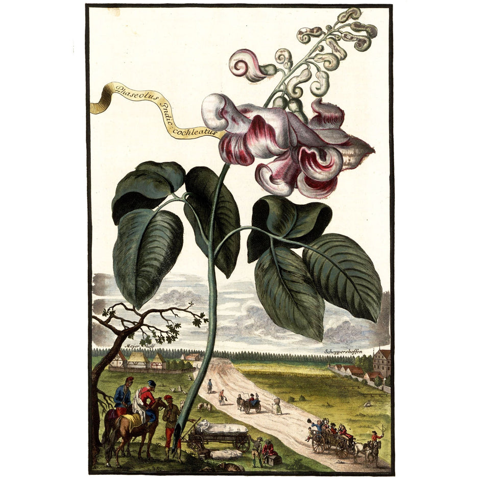 Prints – Pentreath & Hall